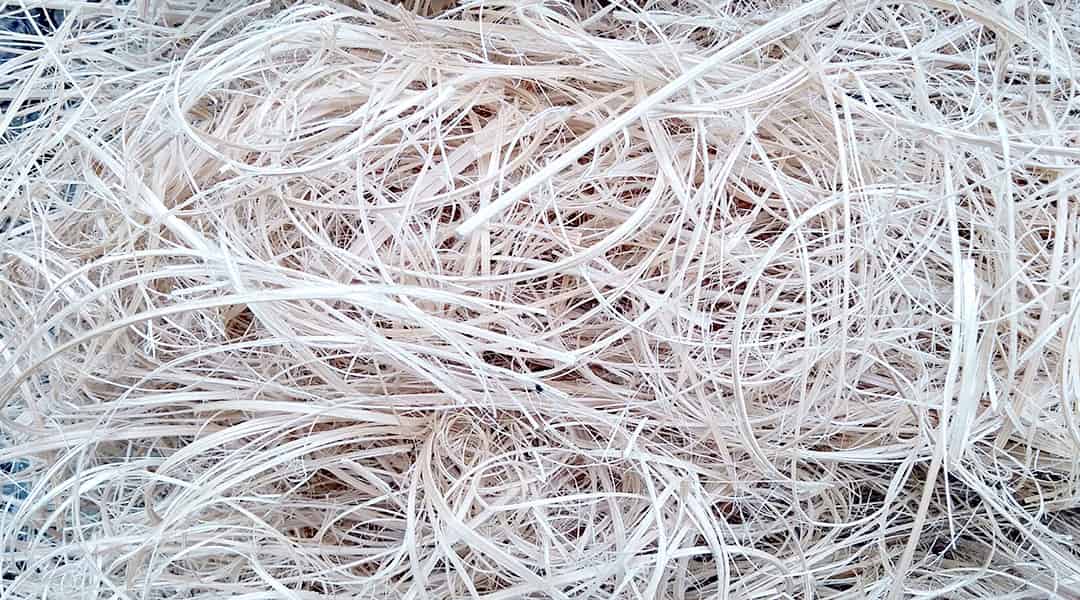 Bambu: um material sólido e duradouro